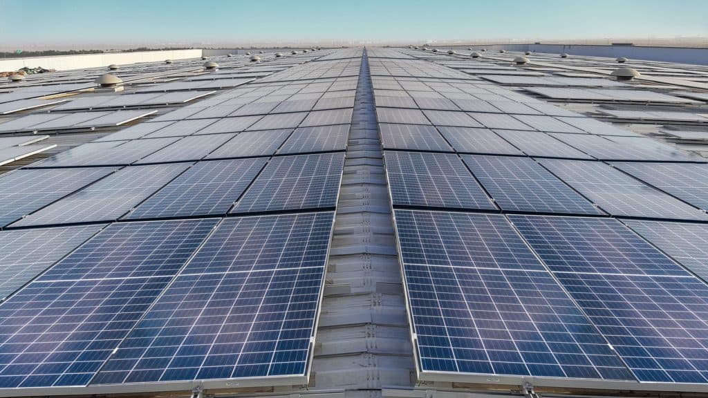 Amazon’s MENA sustainability roadmap delivers momentum towards The ...