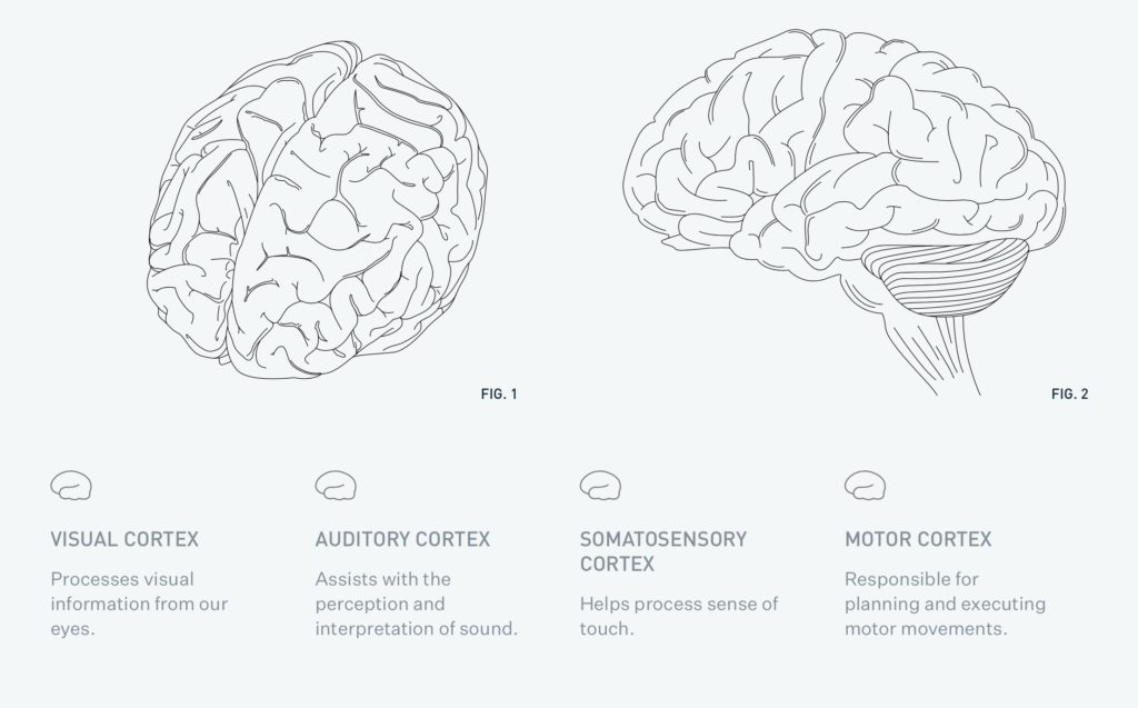 What Exactly Is Neuralink And What Does It Do
