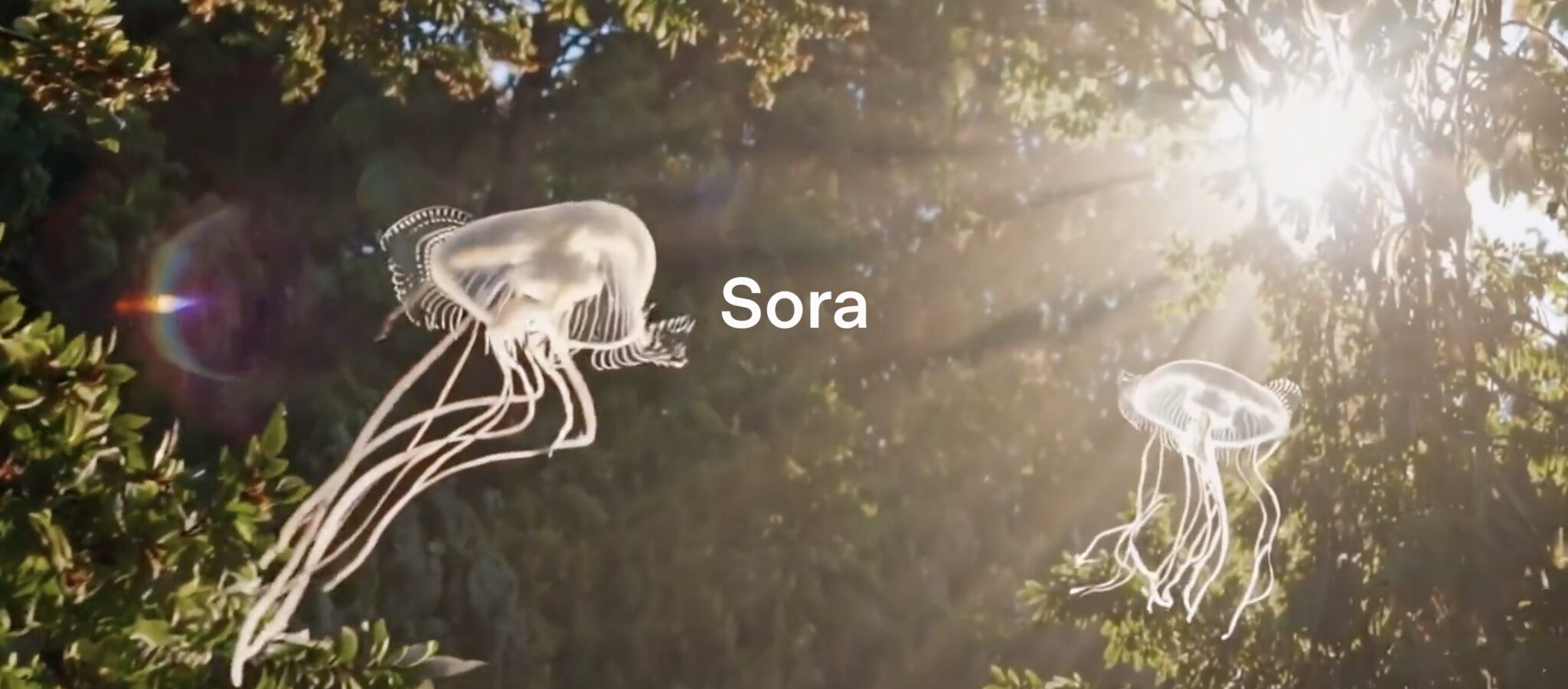 OpenAI’s Sora 2 Adds Pet Cameos, Basic Editing, Faster Performance—and ...